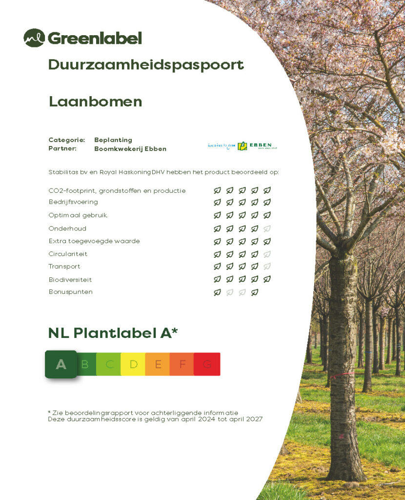Laanbomen-Boomkwekerij Ebben - NL Greenlabel Producten